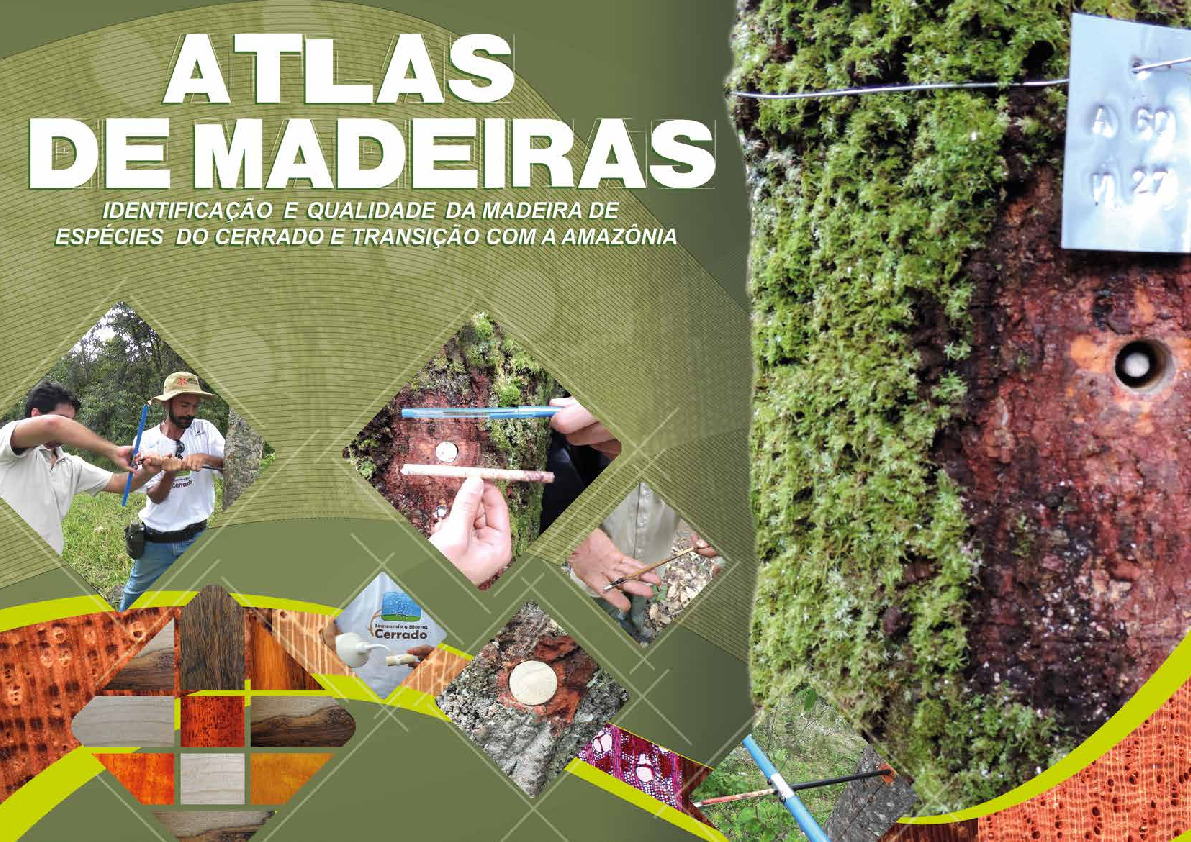 Atlas de madeiras: identificação e qualidade da madeira de espécies do ...